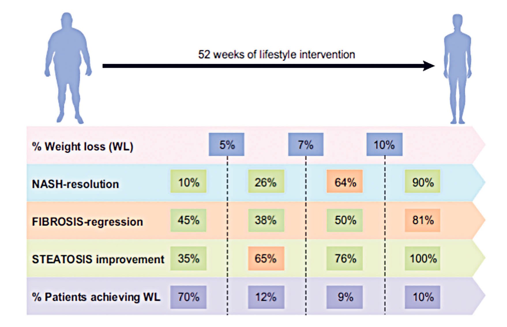 Exercise in NAFLD: The 'perfect pill’ for everyone? - Medical Independent