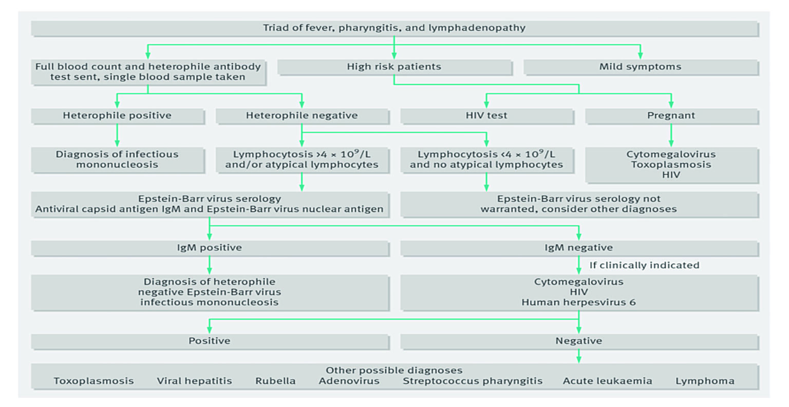 Infectious mononucleosis: An overview - Medical Independent