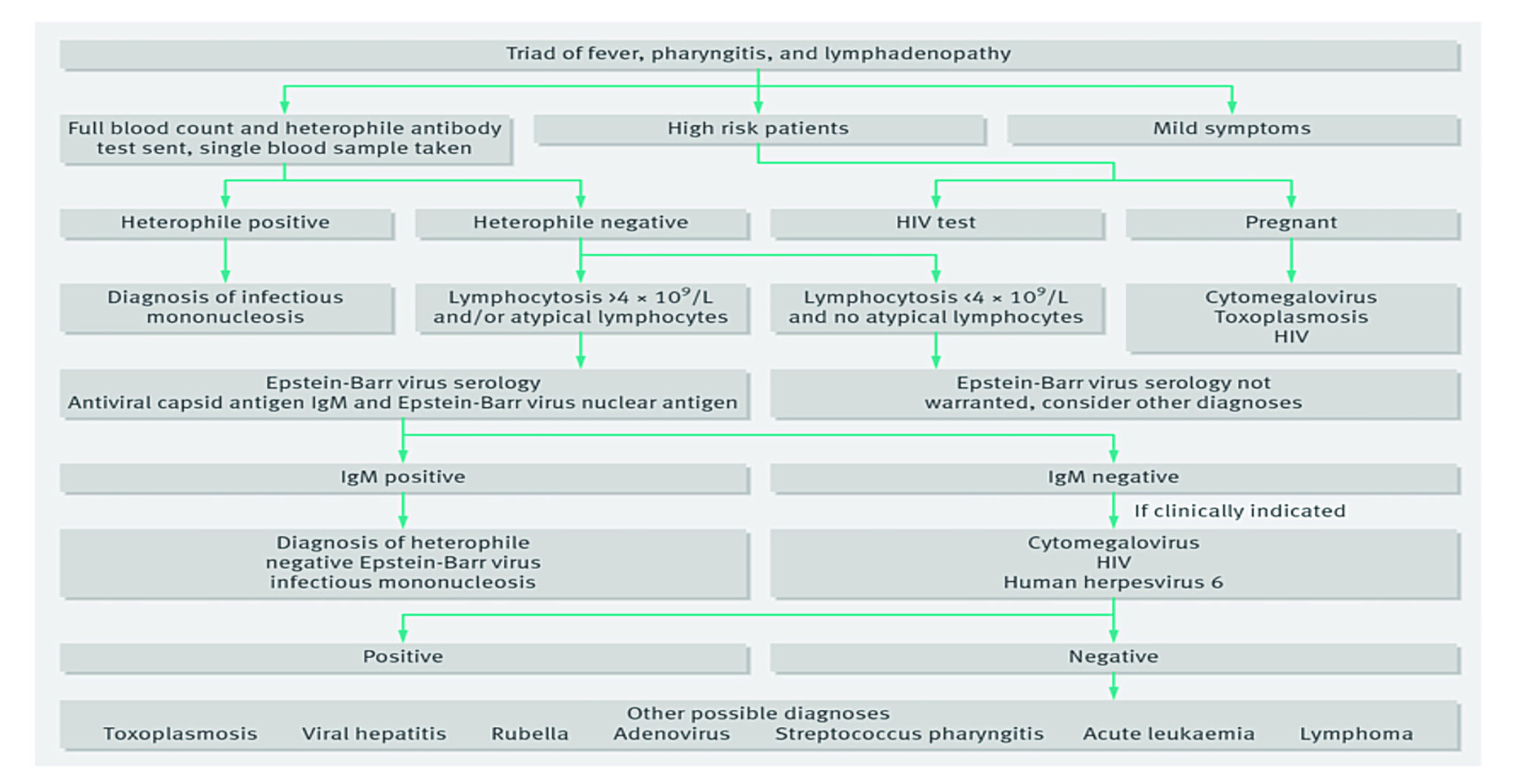 Infectious mononucleosis: An overview - Medical Independent