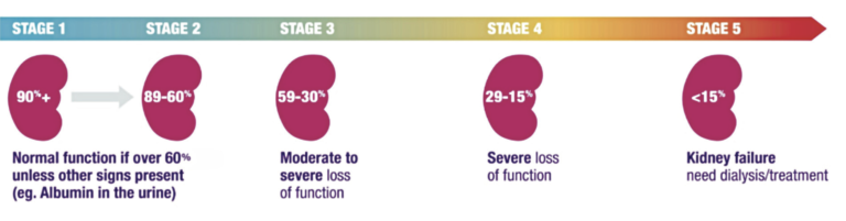 Chronic kidney disease - Medical Independent