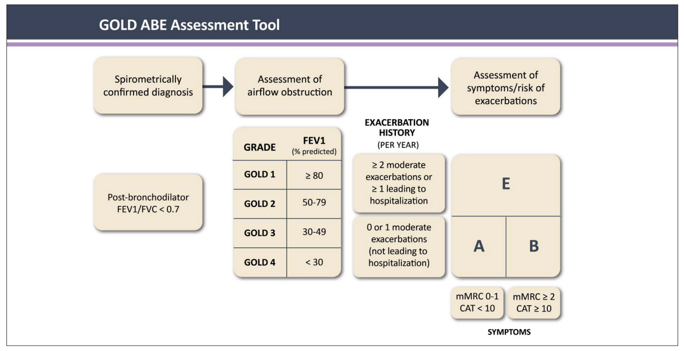 COPD: Ireland has the highest rate of hospital admission - Medical ...