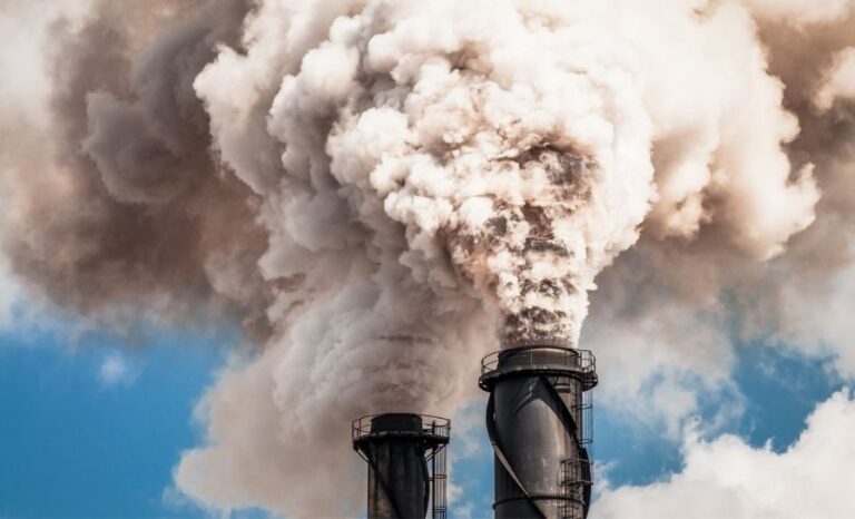 Trojan horses: A new perspective on chemical pollutants we ingest every ...